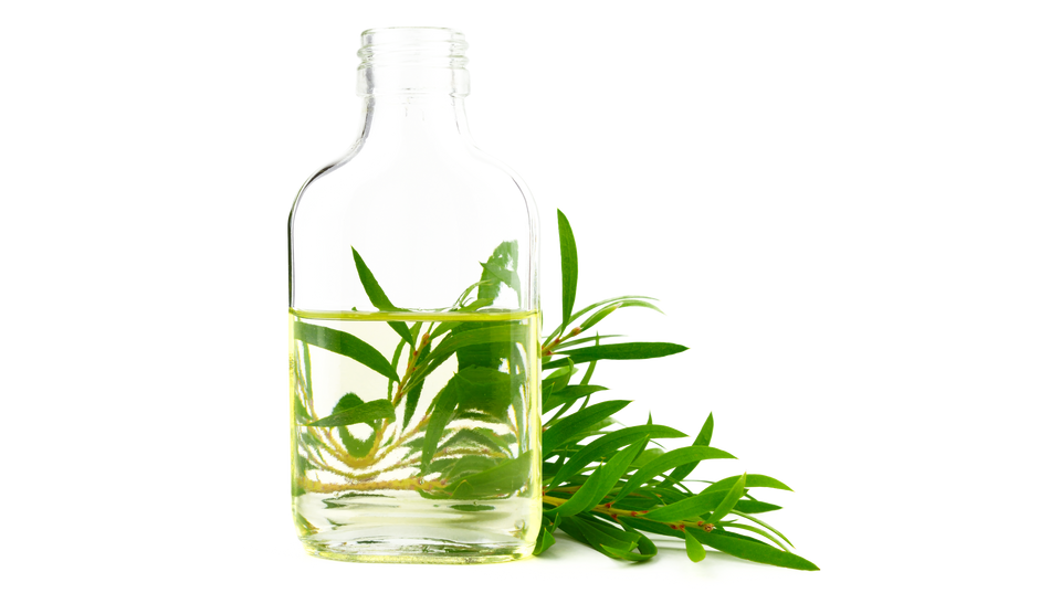 Scientific Evidence - Anti-aging Evidence Based Skin Care - ESK
